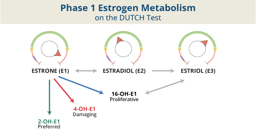 Phase 1 Estrogen Ratios