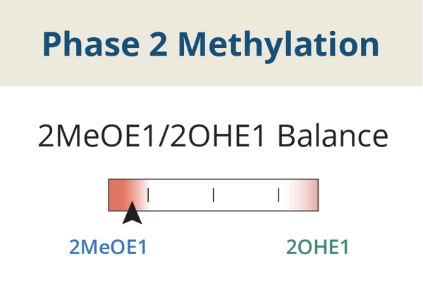 Phase 1 Estrogen Ratios